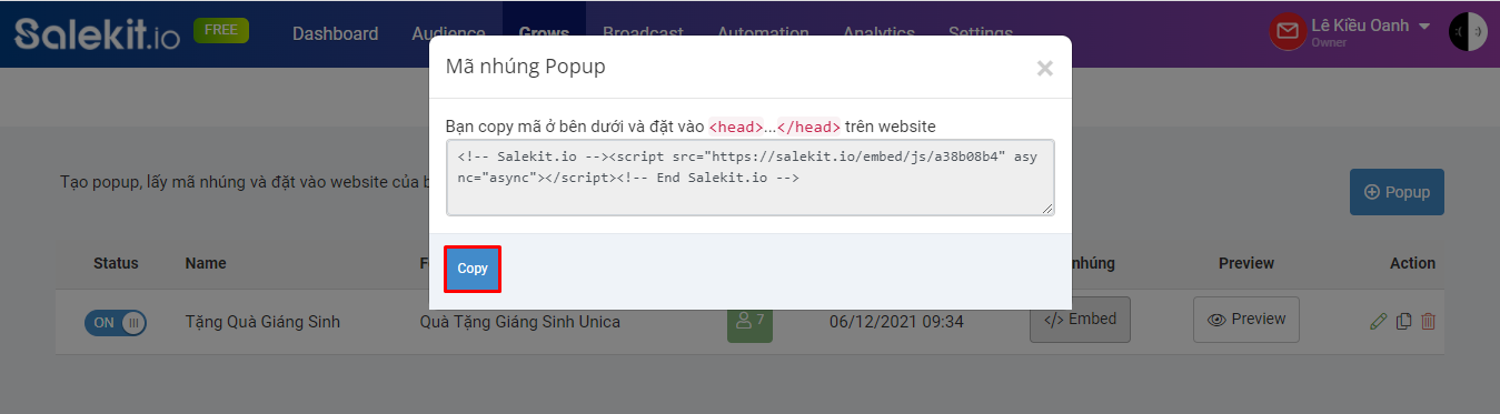 Tạo Popup kèm form đăng ký thu Lead trên Website